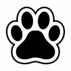 Dog Paw Blank (60mmx60mm) - Dream Catcher Crafts